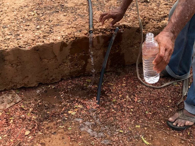 Persbericht: Landbouw op Bonaire met zout- en brak water - Salt Farm ...
