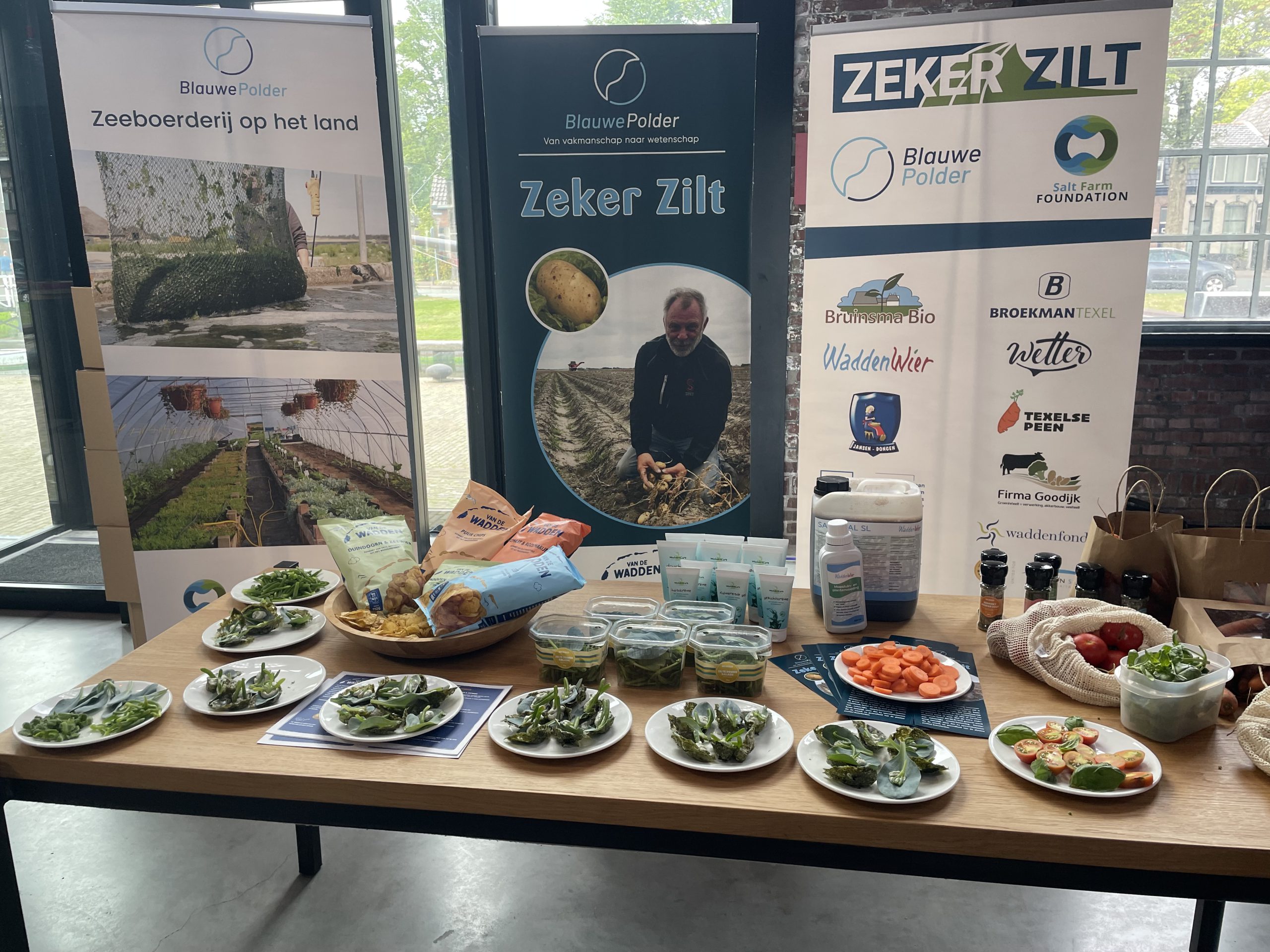 Offshore Experience 2023 - Salt Farm Foundation