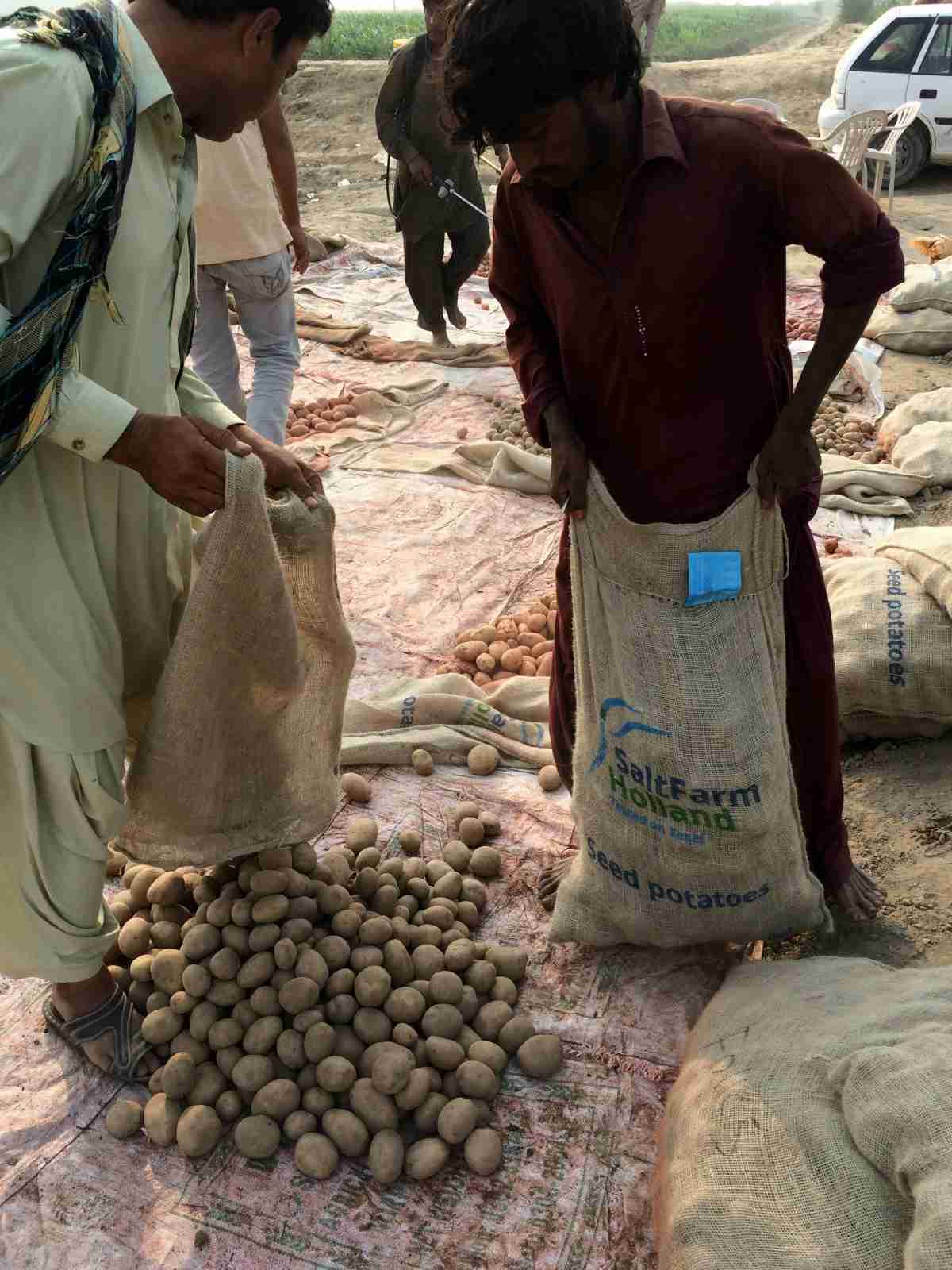 Our Projects - Salt Farm Foundation