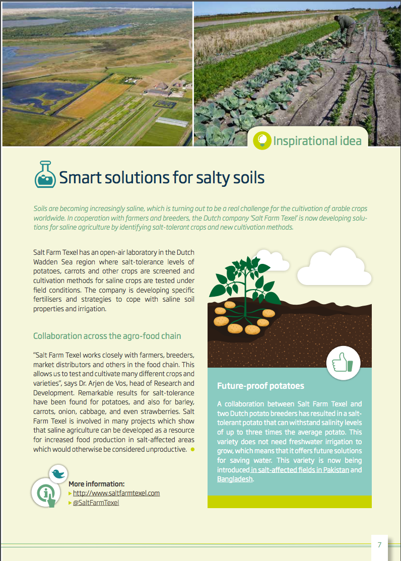 Agri Innovation Magazine - Salt Farm Foundation