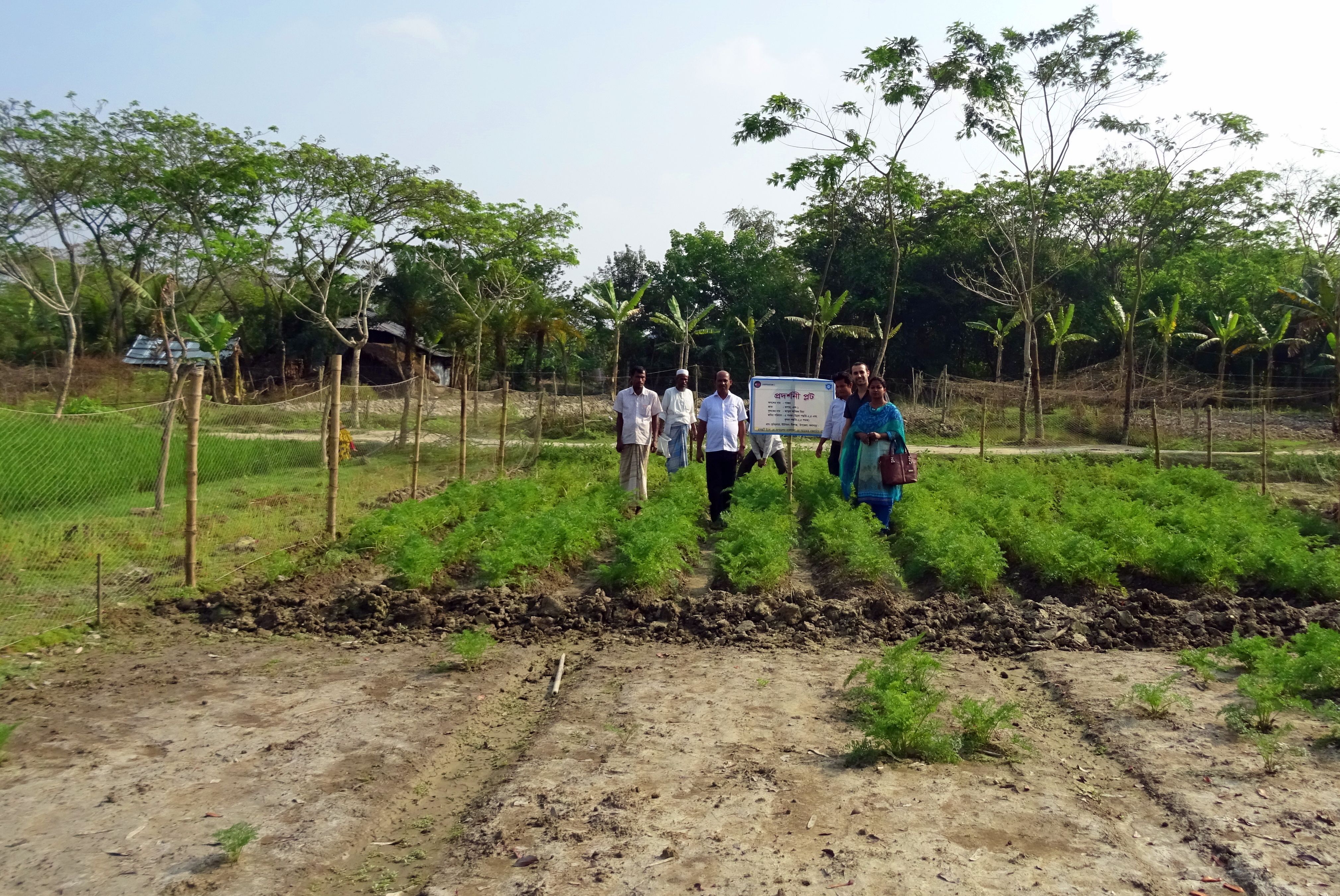 Problematiek verzilting vraagt om meer kennis - Salt Farm Foundation