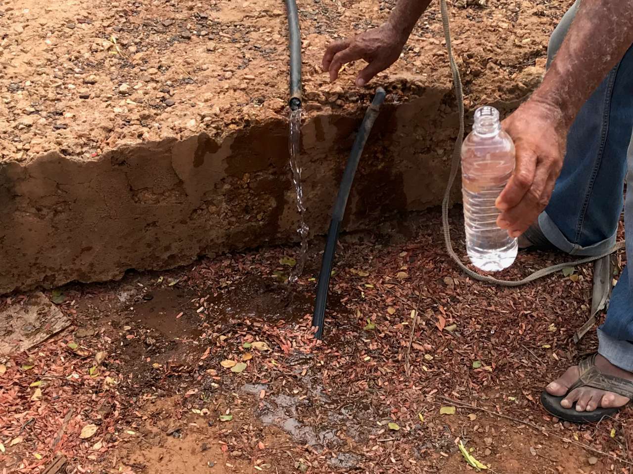 Saline agriculture on Bonaire - Salt Farm Foundation