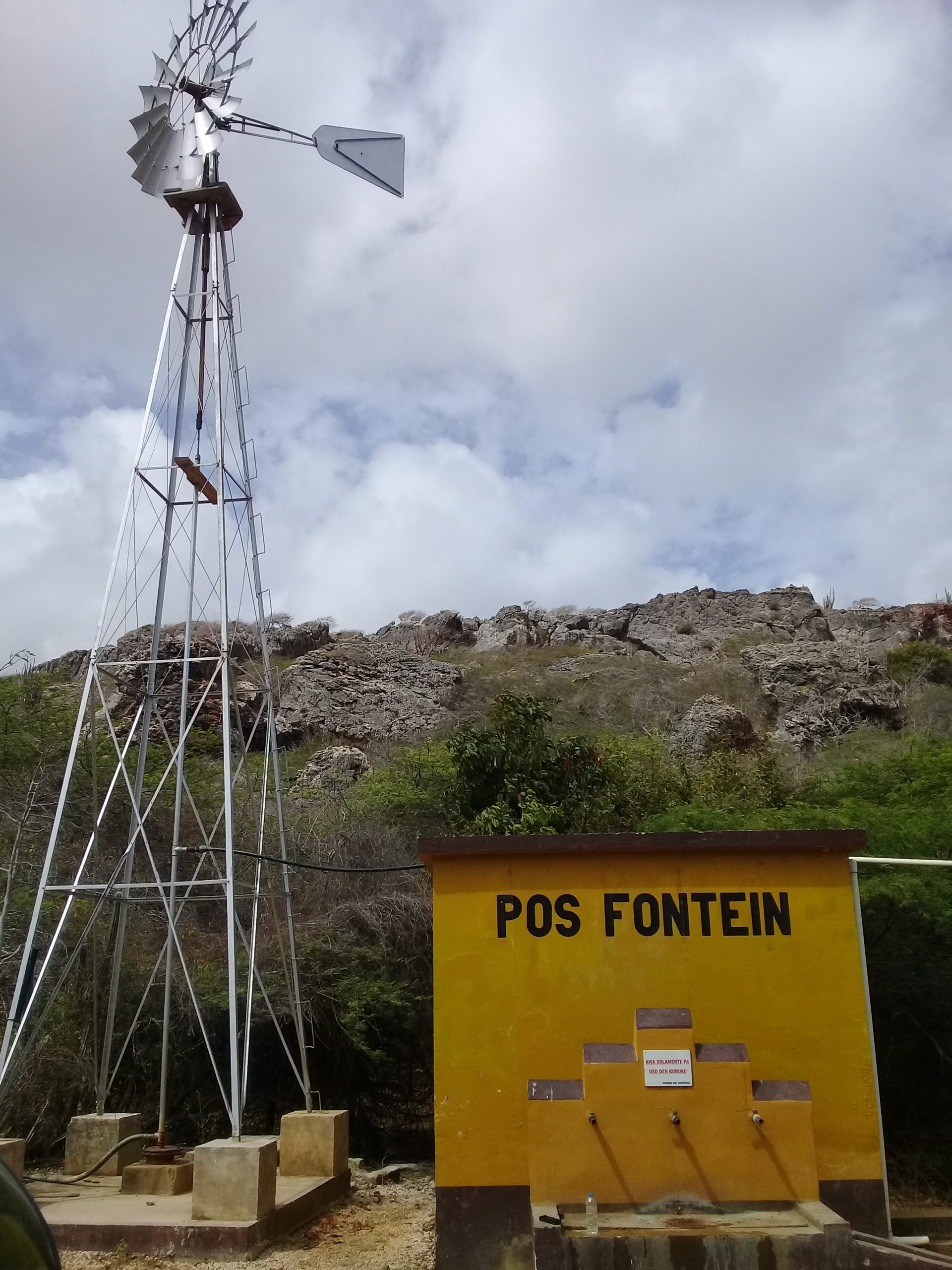 Project Bonaire updates (summer 2020) - Salt Farm Foundation